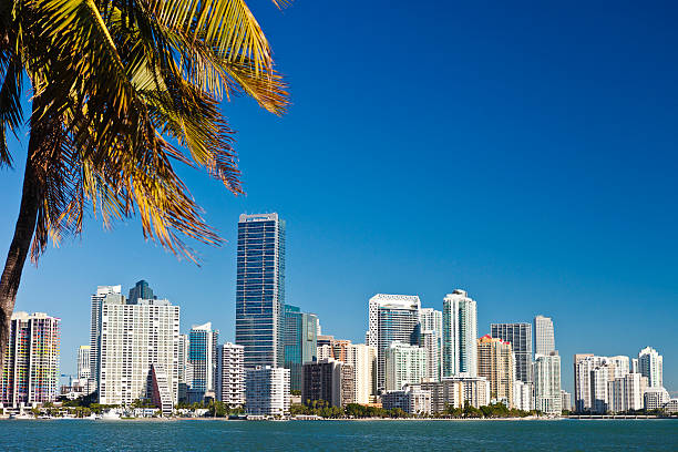 Miami Skyline Pictures, Images and Stock Photos - iStock Miami Skyline Pictures, Images and Stock Photos - iStock