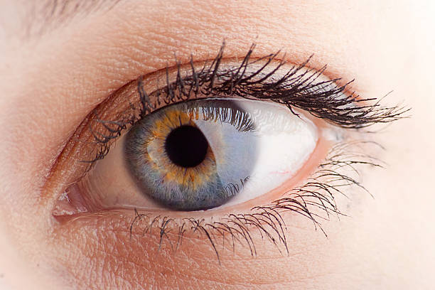 Human Eye Close Up Pictures, Images and Stock Photos - iStock Human Eye Close Up Pictures, Images and Stock Photos - iStock