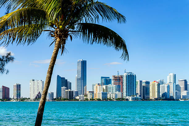 Miami Skyline Pictures, Images and Stock Photos - iStock Miami Skyline Pictures, Images and Stock Photos - iStock
