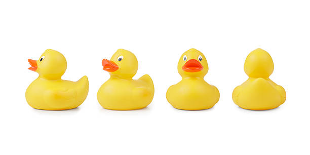 Rubber Duck Pictures, Images and Stock Photos - iStock Rubber Duck Pictures, Images and Stock Photos - iStock