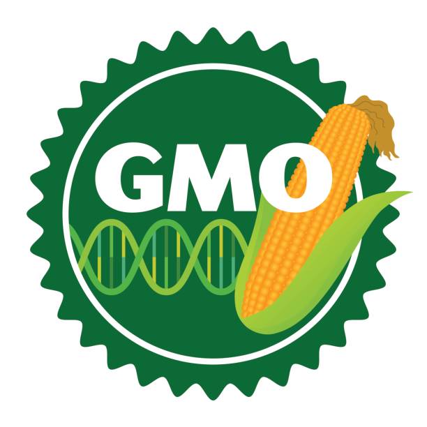 Gmo Labeling Clip Art, Vector Images & Illustrations - iStock Gmo Labeling Clip Art, Vector Images & Illustrations - iStock