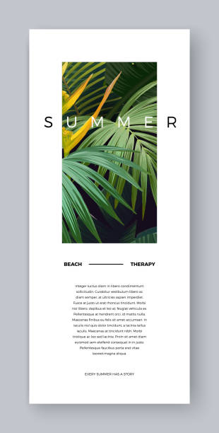 70+ Sabal Palm Tree Stock Illustrations, Royalty-Free Vector Graphics ... 70+ Sabal Palm Tree Stock Illustrations, Royalty-Free Vector Graphics ...