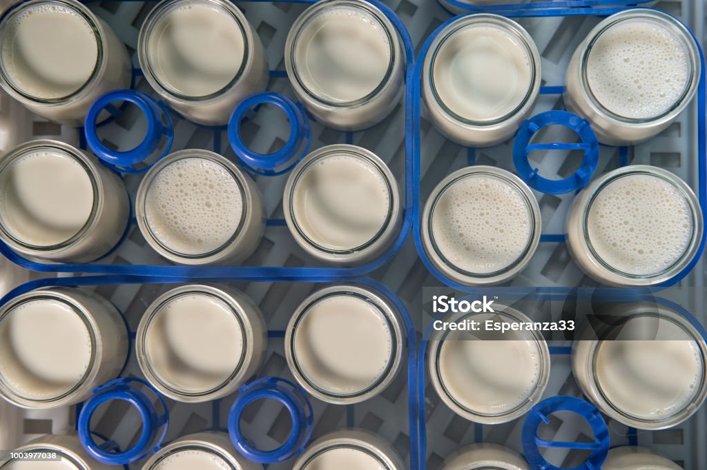 Production Of Yogurt In A Farm Homemade Cows Milk Yoghurt Stock Photo ... Production Of Yogurt In A Farm Homemade Cows Milk Yoghurt Stock Photo ...