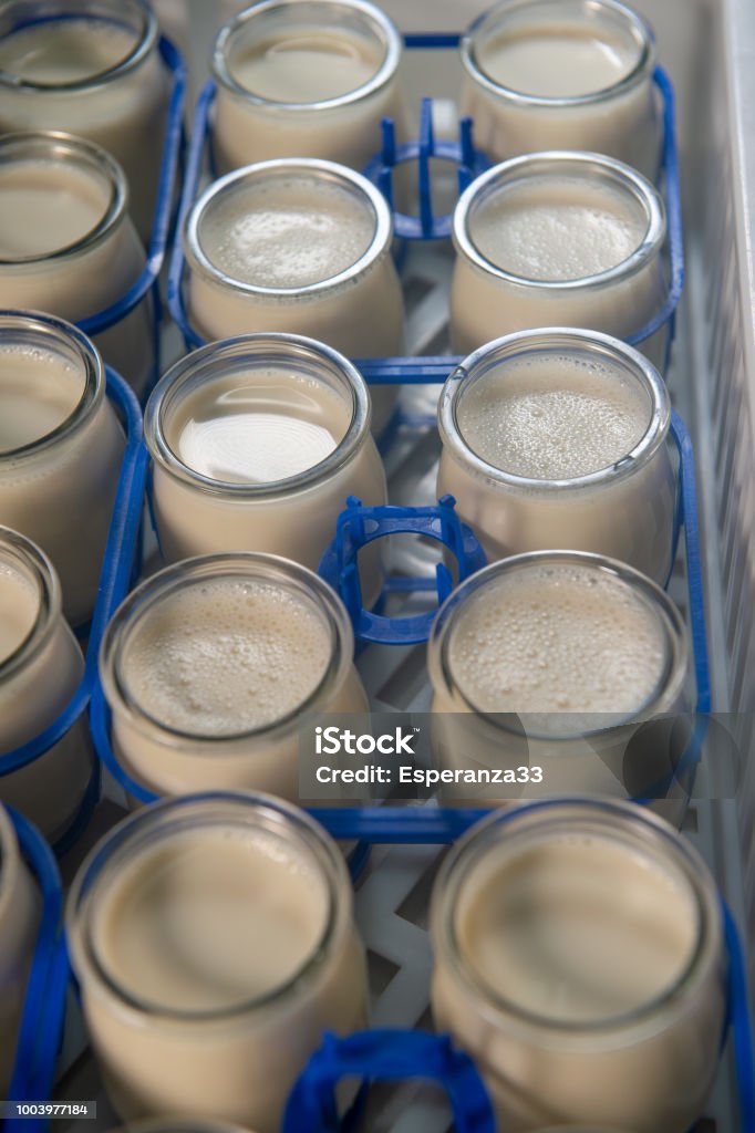 Production Of Yogurt In A Farm Homemade Cows Milk Yoghurt Stock Photo ... Production Of Yogurt In A Farm Homemade Cows Milk Yoghurt Stock Photo ...