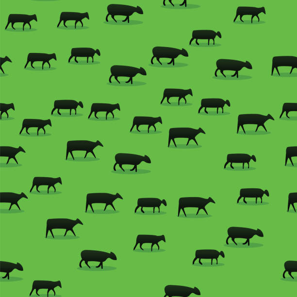 Calf Raises stock vectors - iStock Calf Raises stock vectors - iStock