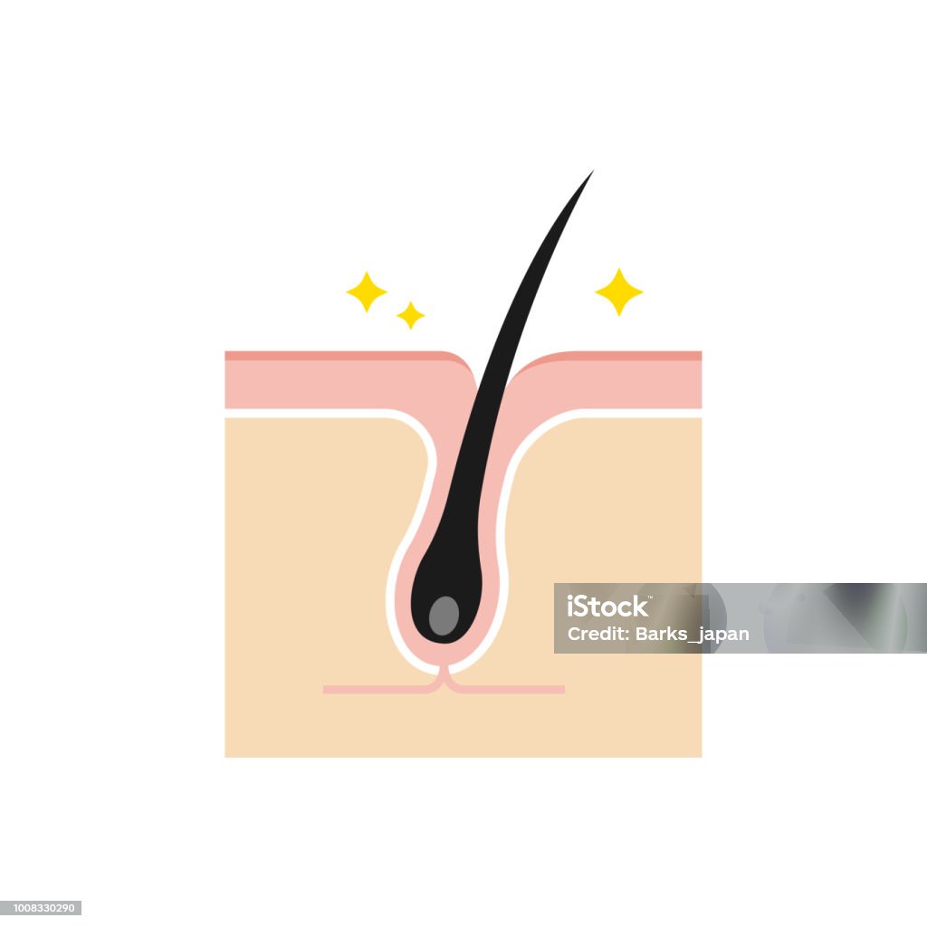 Structure Illustration Of Pores Clean Pores Stock Illustration ... Structure Illustration Of Pores Clean Pores Stock Illustration ...