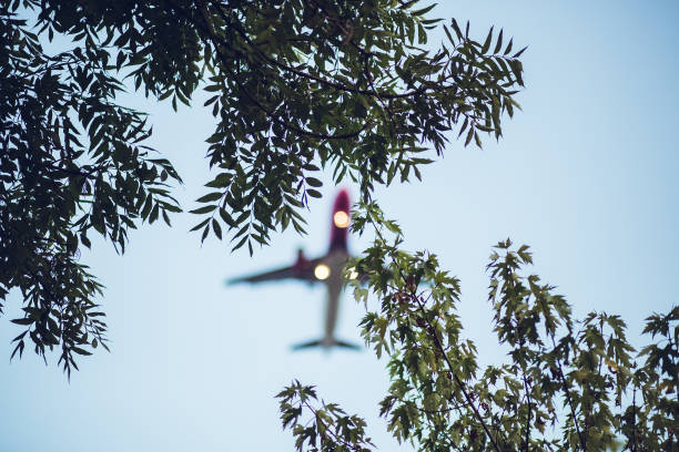 Free Stock Photo of Airplane Flying Over Park With Trees | Download ...