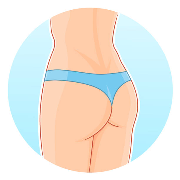 20 Clip Art Of A Female Buttocks Anatomy Stock Illustrations Royalty Free Vector Graphics