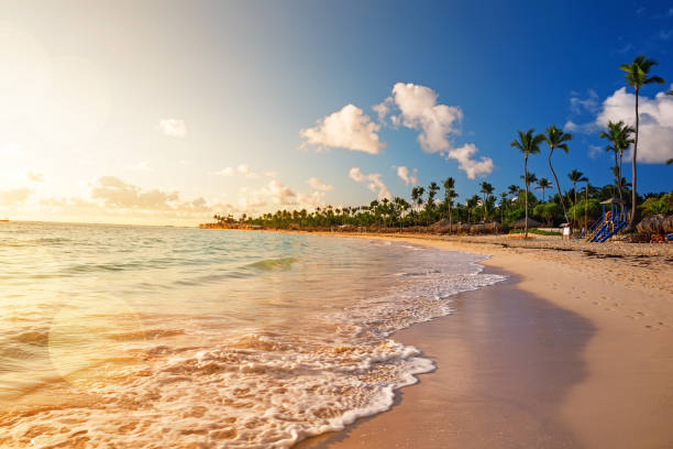 500+ Sunny Beach Pictures [HD] | Download Free Images on Unsplash