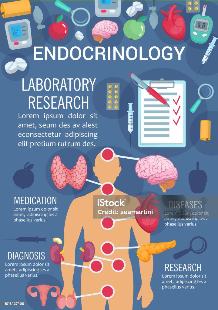 Endocrinology Poster With Human Endocrine System Stock Illustration