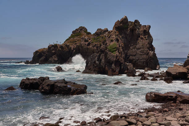 Ensenada Pictures | Download Free Images on Unsplash