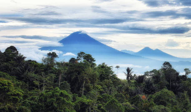 Sulawesi Pictures | Download Free Images on Unsplash
