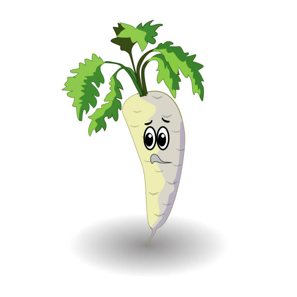 80 Cartoon Of A Parsnip Stock Illustrations Royalty Free Vector Graphics And Clip Art Istock