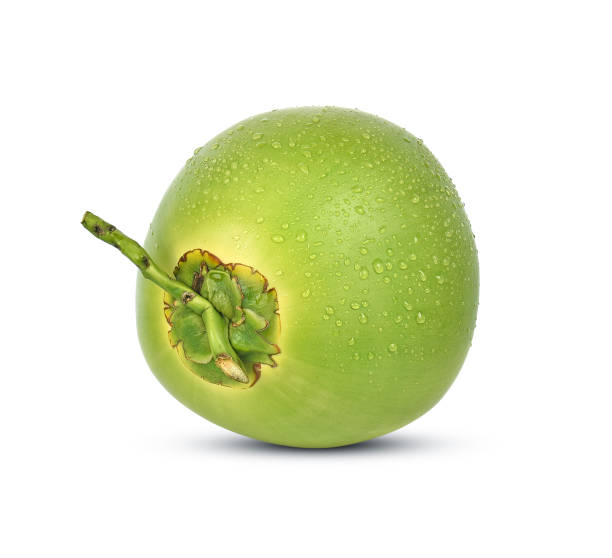 Green Coconut Pictures | Download Free Images on Unsplash