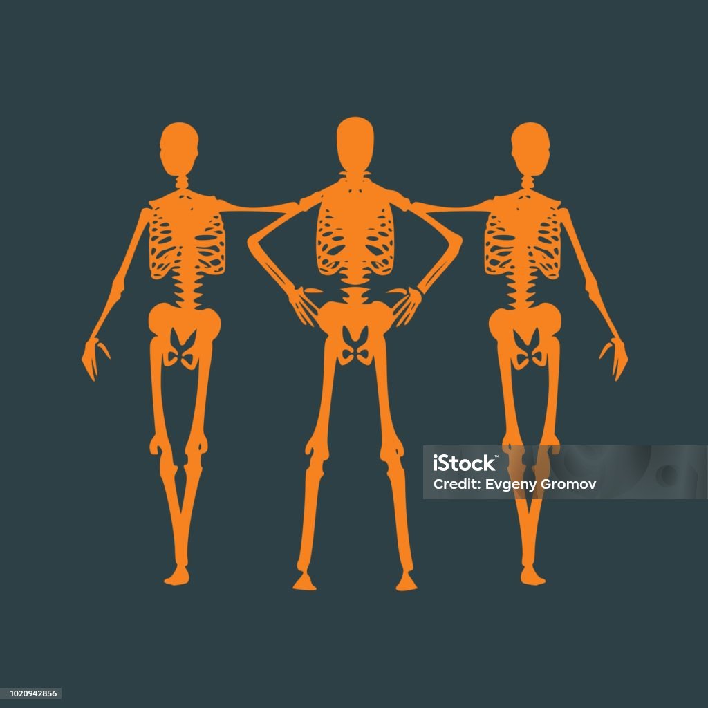 Halloween Human Skeleton Stock Illustration Download Image Now