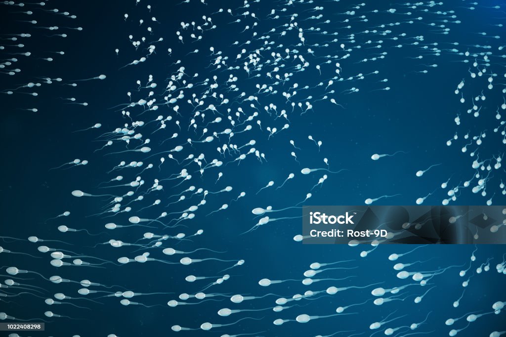 Sperm Approaching Egg Cell Ovum Natural Fertilization Closeup View Conception The Beginning Of A