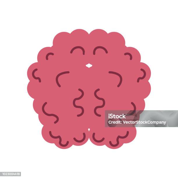 Cerveau Icône Vector Signe Et Le Symbole Isolé Sur Fond Blanc Notion De