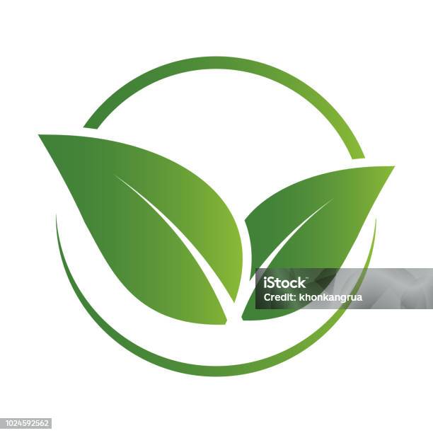 Logo De La Feuille Verte Nature De Lécologie Illustration Vectorielle