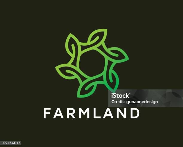 Résumé Des Feuilles Symbole Template Design Vecteur Emblème Concept