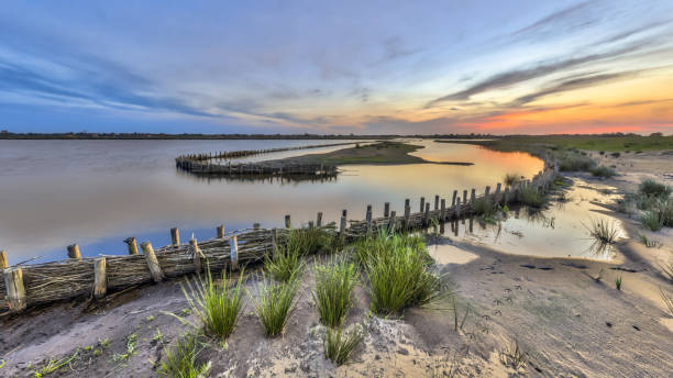 Free picture: lake, bank, erosion