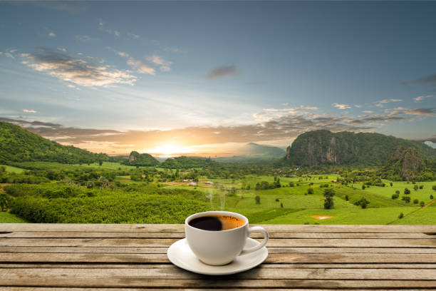 Coffee Landscape Pictures | Download Free Images on Unsplash