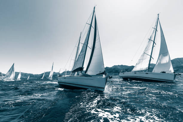 Regatta Pictures | Download Free Images on Unsplash