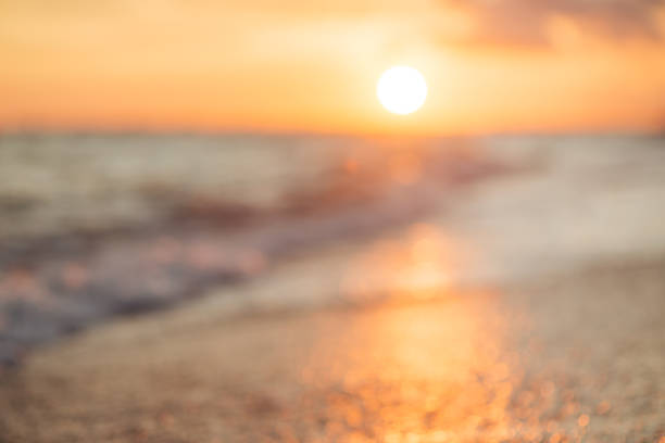 Free Stock Photo of Blurry Sunset Over Beach | Download Free Images and ...