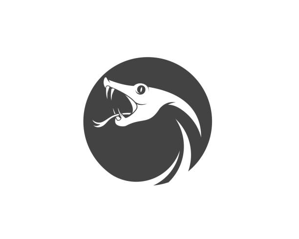 910+ Chinese Cobra Snake Stock Illustrations, Royalty-Free Vector ... 910+ Chinese Cobra Snake Stock Illustrations, Royalty-Free Vector ...