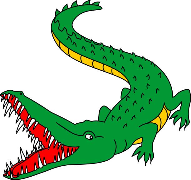 40+ Crocodile Mouth Open Cartoon Stock Photos, Pictures & Royalty-Free ... 40+ Crocodile Mouth Open Cartoon Stock Photos, Pictures & Royalty-Free ...