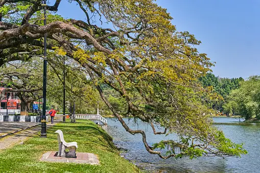 Taman Tasik Taiping Photos Télécharger Des Images Gratuites Sur Unsplash