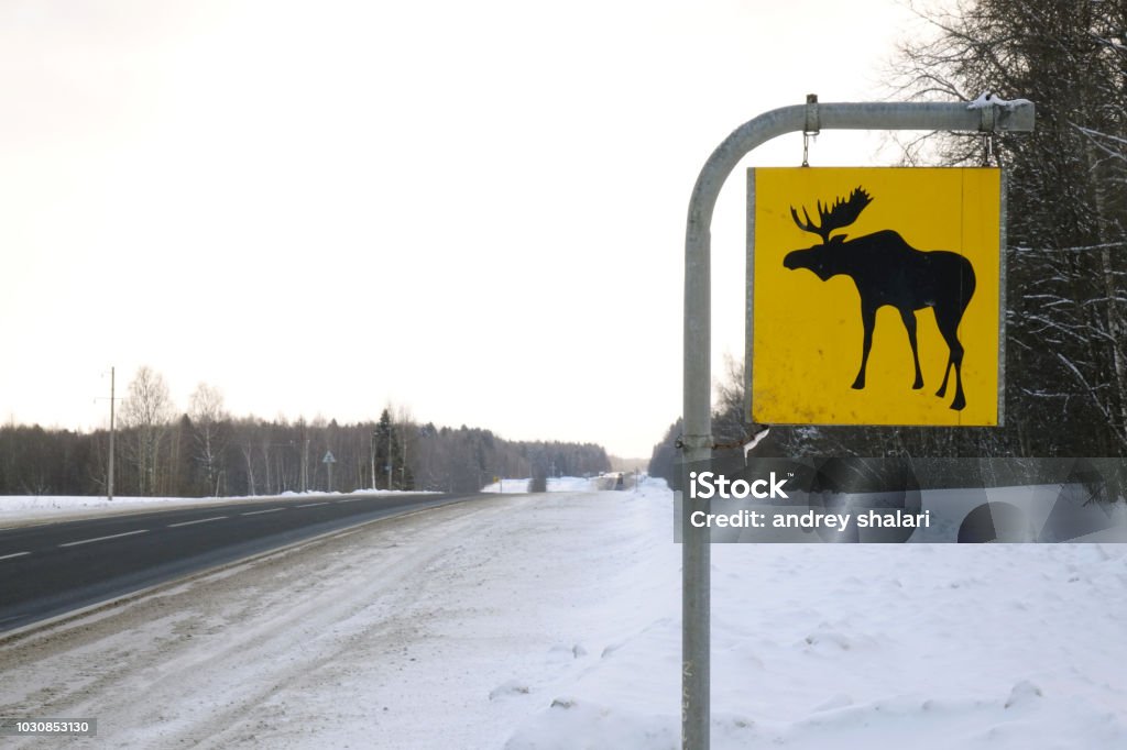 Photo libre de droit de Panneau De Signalisation Orignaux Est Des ... Photo libre de droit de Panneau De Signalisation Orignaux Est Des ...