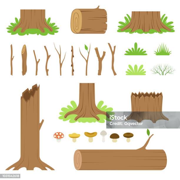 Ensemble Darbres Forestiers Souches Consigne Bâtons Branches Herbes Et