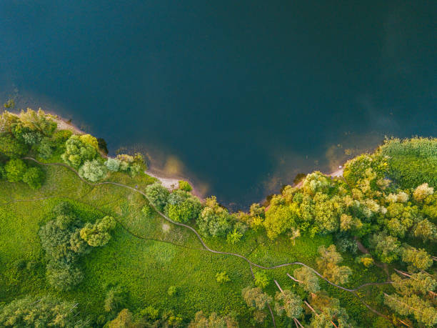 Free picture: aerial, swamp, lakes