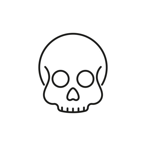 260 Outline Pirate Skull Tattoo Cartoons Illustrations Royalty Free