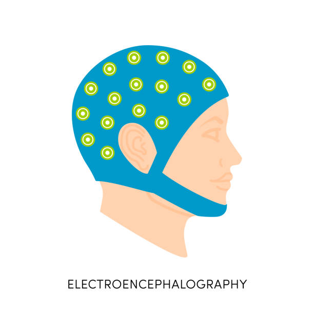 1100 Eeg Waves Vector Stock Illustrations Royalty Free Vector