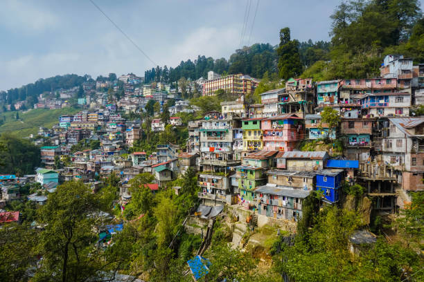 500+ Darjeeling Pictures [HD] | Download Free Images on Unsplash