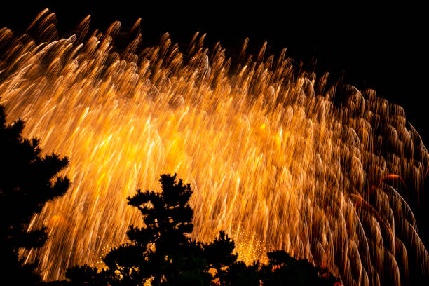 Free Stock Photo of Explosive fireworks display in night sky | Download ...