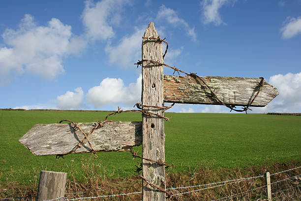 Free picture: wooden, signpost, crossroads
