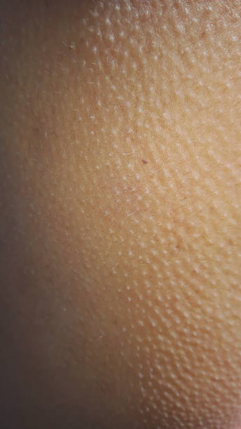 Goosebumps Pictures | Download Free Images on Unsplash