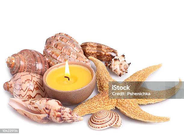 Seashells 불가사리류 및 캔들 0명에 대한 스톡 사진 및 기타 이미지 0명 개체 그룹 구도 Istock