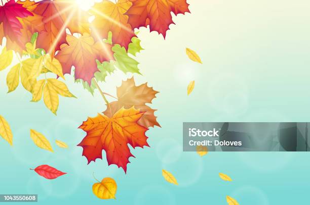 Feuilles Dautomne Fond Avec Automne Chute Vecteurs Libres De Droits Et
