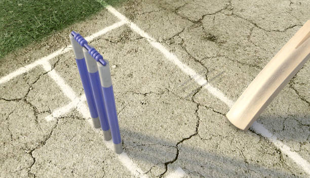crease-cricket-field Premium Photos, Pictures and Images by Istock