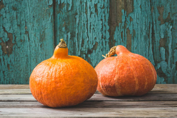 Free Stock Photo of Two pumpkins on a rustic wooden table | Download ...
