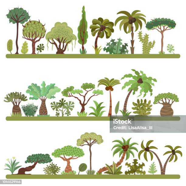 Collection Darbres Tropicaux Palmiers Et Autre Plantes Exotiques