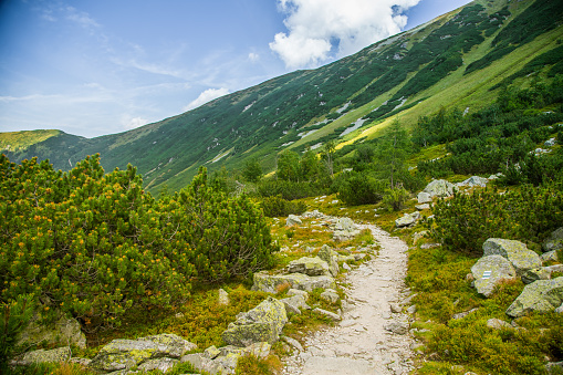 Jalur Pendakian Yang Indah Di Pegunungan Lanskap Gunung Di Tatry ... Jalur Pendakian Yang Indah Di Pegunungan Lanskap Gunung Di Tatry ...