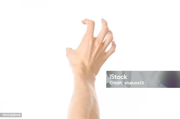 Gestures Topic Human Hand Gestures Showing Firstperson View Isolated On
