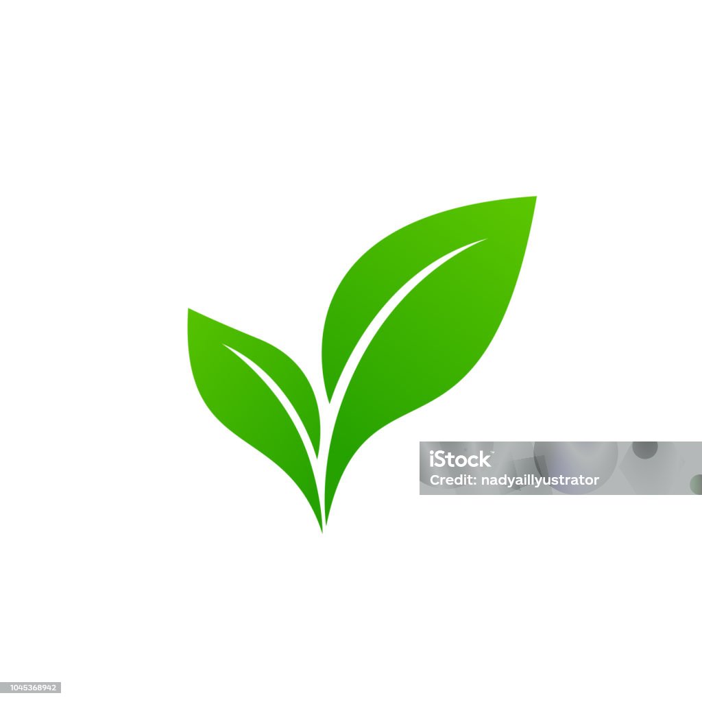 Création De Feuille Verte Abstraite Logo Icône Vector Jeu Dicônes De