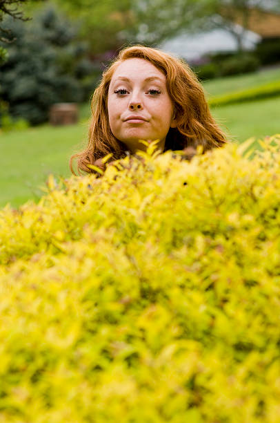 Nicely Trimmed Female Bush Photos Download The Best Free Nicely Trimmed Female Bush Stock