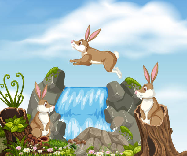 80 Rabbit Eating Grass Stock Illustrations Royalty Free Vector