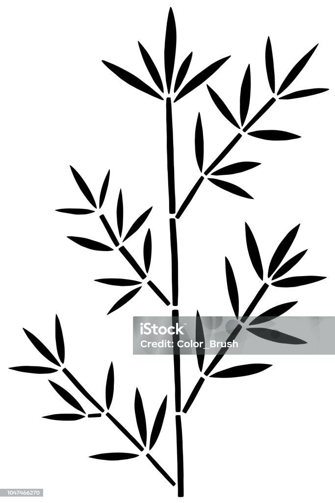Cabang Bambu Dengan Daun Ilustrasi Stok - Unduh Gambar Sekarang - Daun ... Cabang Bambu Dengan Daun Ilustrasi Stok - Unduh Gambar Sekarang - Daun ...